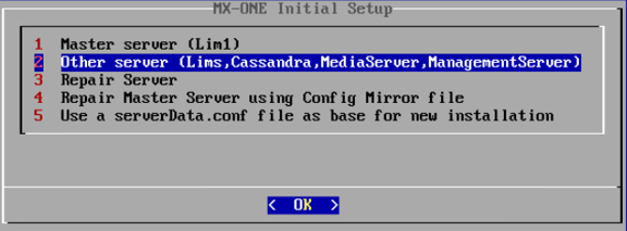 Initial Setup of the Master Server